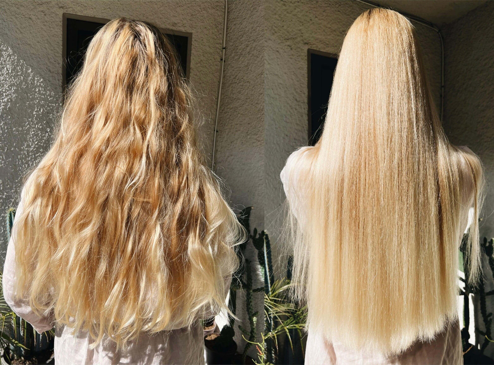 Shop for Burdock Root Hair Oil | Bur Bur – BUR BUR